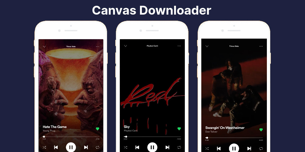 Charts · Canvas Downloader for Spotify